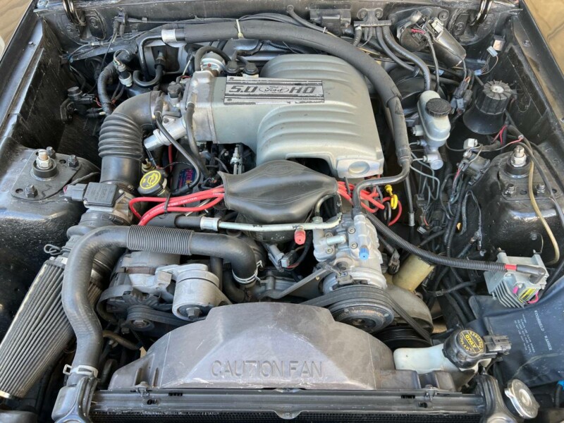 Ford Python | New Old Cars